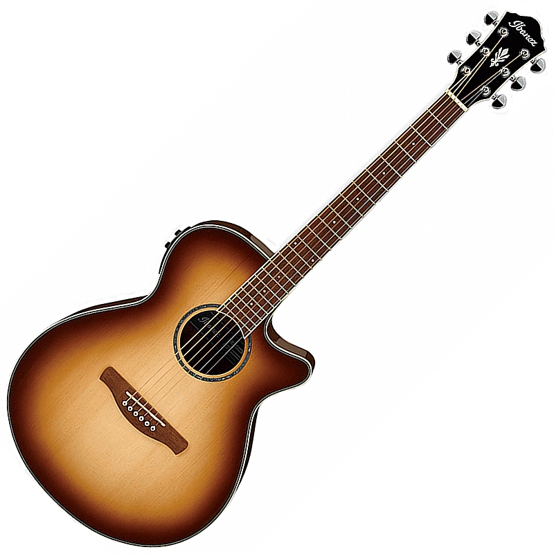 Ibanez AEG10II-NNB akustična gitara