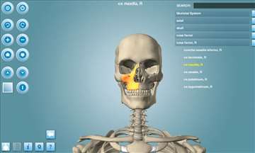 Atlas anatomije na PC-u