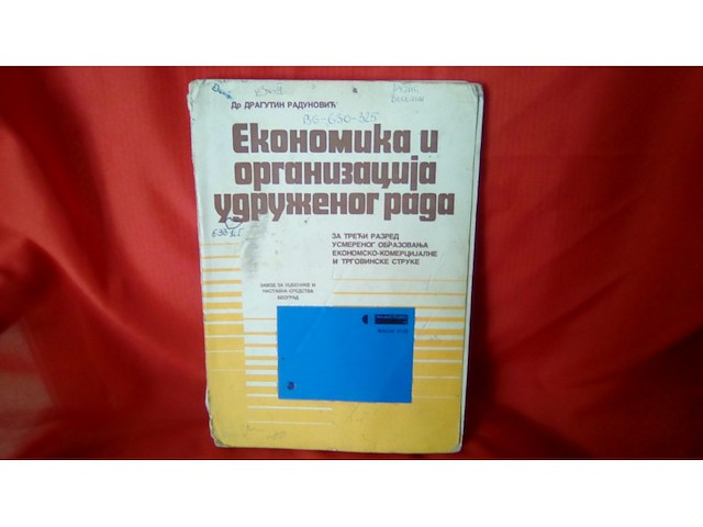 Ekonomika i organizacija udruženog rada