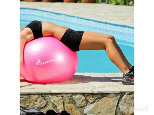 Capriolo pilates 75cm pink