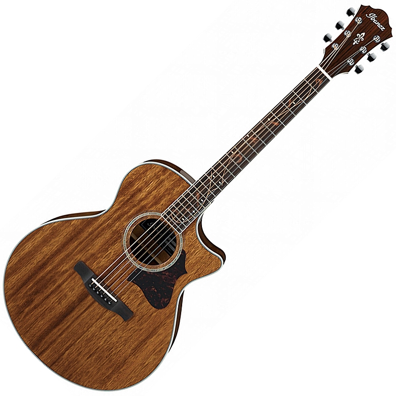 Ibanez AE245-NT akustična gitara