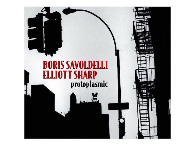 Boris Savoldelli / Elliott Sharp ‎– Protoplasmic