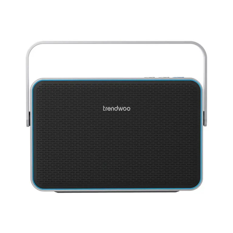TrendWoo TrendWoo Blade-X Portable Bluetooth zvučnik Gray (29258)