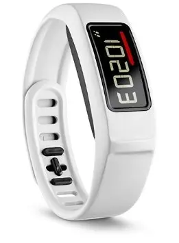 Garmin Garmin Vivofit 2 White