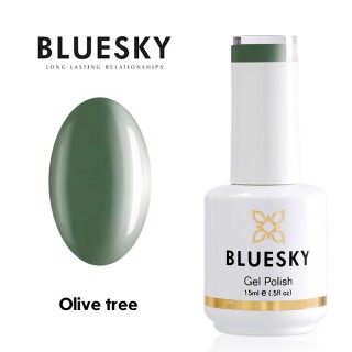 OLIVE TREE