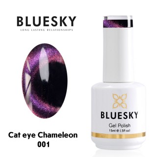 Cat eye Chameleon 2017 001