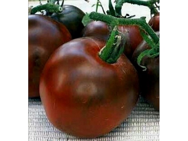 Seme Ruskog paradajza Black Prince