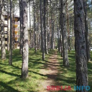 Apartman Sani Zlatibor