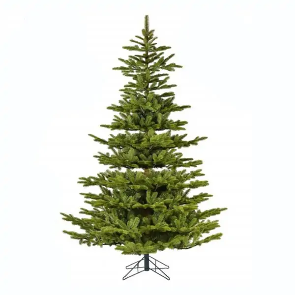 Novogodišnja jelka Koreana Spruce 150 cm