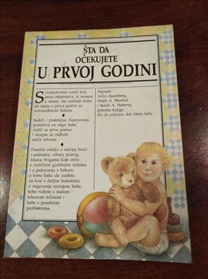 Šta da očekujete u prvoj godini