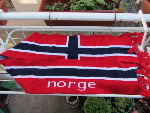 Navijački ŠAL reprezentacije Norveške