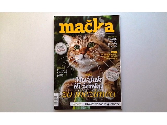 Mačka - Magazin o mačkama