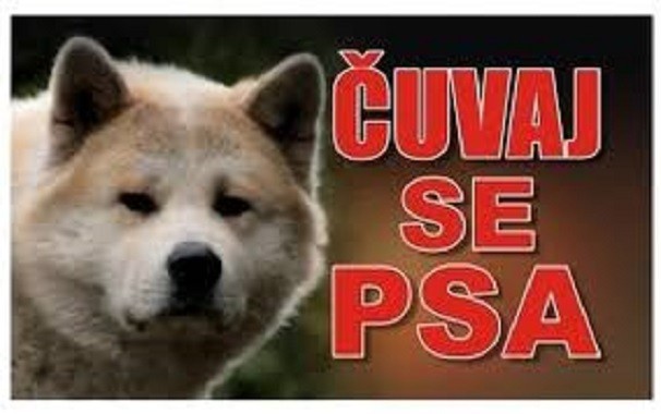 Tabla Čuvaj se psa-AKITA INU