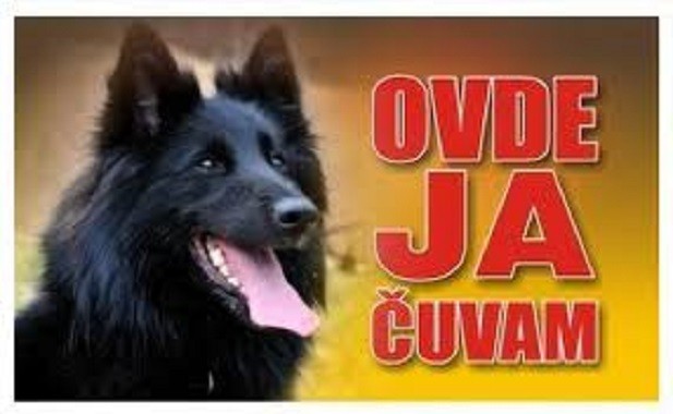 Tabla Ovde ja čuvam BELGIJSKI OVČAR