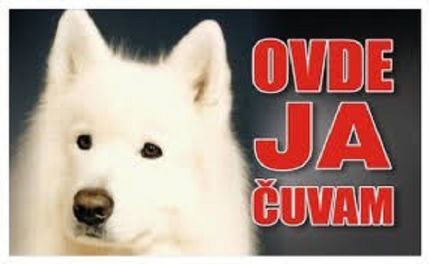 Tabla-Ovde ja čuvam SAMOJED