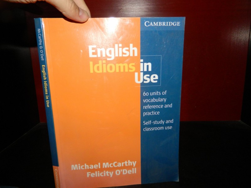 English idioms in use