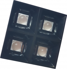CN16869_DAISY-2X2-W