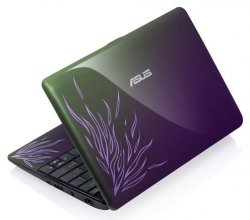 Netbuk Asus eeePC 1001PQ-PUR005S