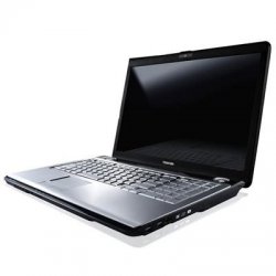 Notebook računar TOSHIBA Satellite L300-1AM DualCore T3200 (2GHz) 4GB, 250GB, 15.4", DVDRW, WebCam, No OS, PSLBGE-00500KY4