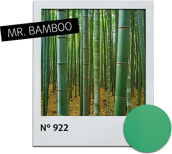 CG 922 Mr. Bamboo