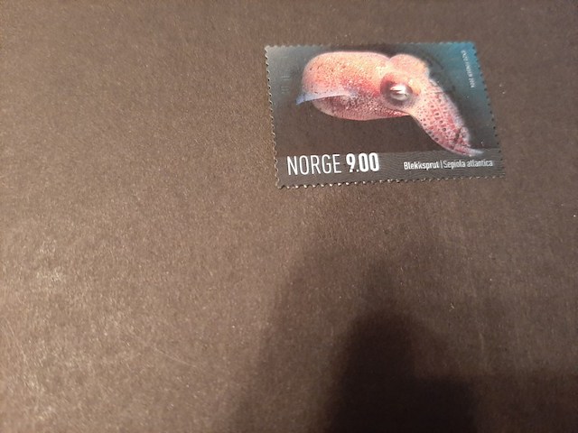 razno 4203 norge ribe lignje