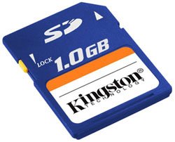 SD memorijska kartca KINGSTON kapaciteta 1GB, 1,5MB/s, Write Protect (SD/1GB)