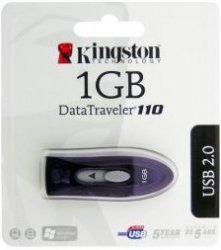 KINGSTON USB memorija DT110P 1GB ljubičaste boje (DT110P/1GB)