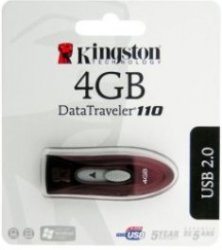 KINGSTON USB memorija DT110R 4GB (DT110R/4GB)