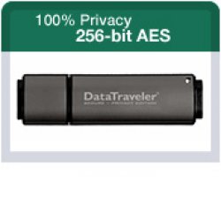 KINGSTON USB memorija DTSP 4GB, 24 MB/s, 10 MB/s, DataTraveler Secure SA 256bitnom enkripcijom +100% privatnost (DTSP/4GB)