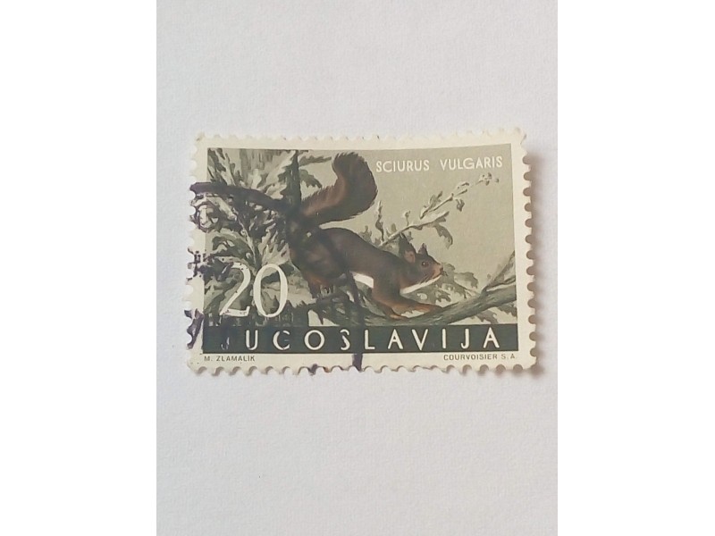 Veverica - Jugoslavija -
