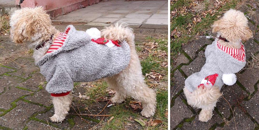Zimski duks jaknica za male pse SNOWMAN