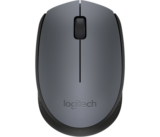 Logitech M170