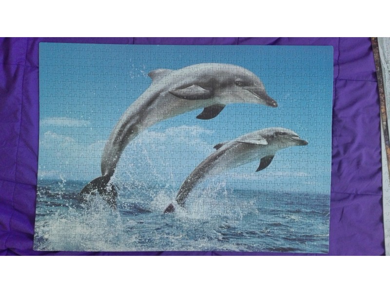 puzzle 1000 delova