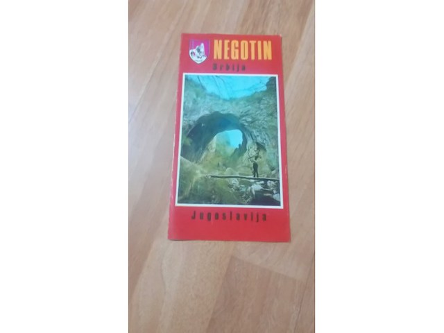 NEGOTIN