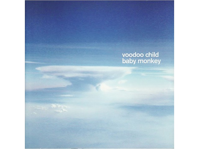 Voodoo Child ‎– Baby Monkey
