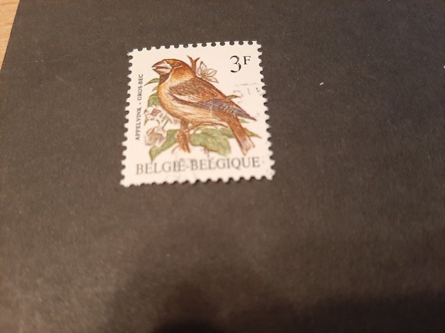 belgija 10 ptica