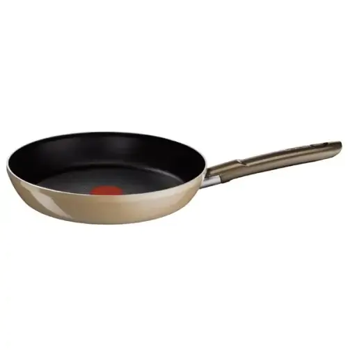 Tiganj Evidence D08004, 24 cm TEFAL