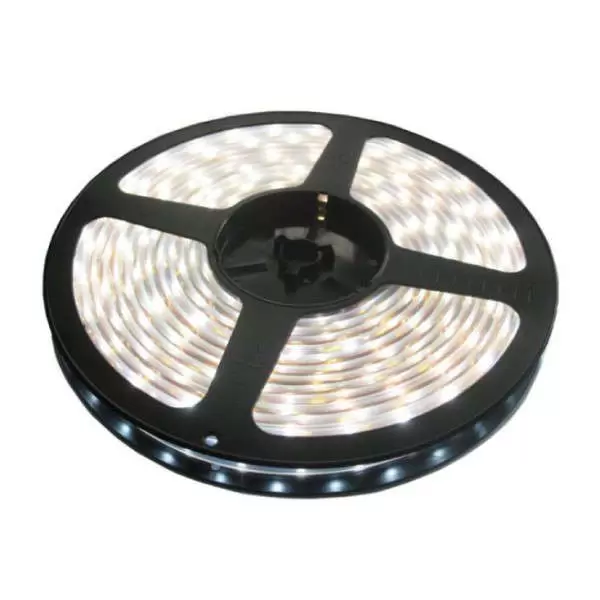 LED traka bela 30 LED. / 1m LTR5050/30W-12EP