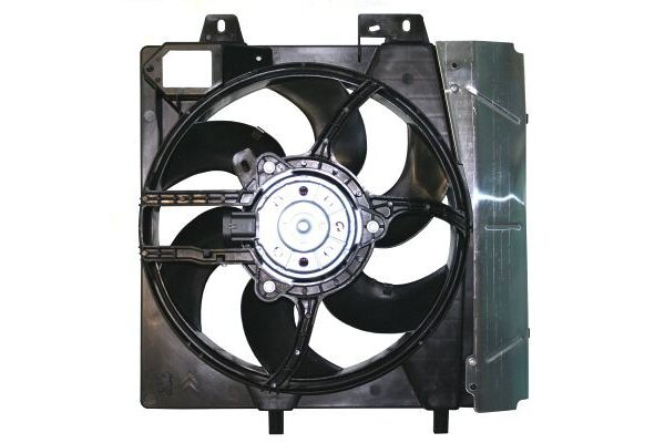 Ventilator hladnjaka 231623W3 - CITROEN C3, 10-