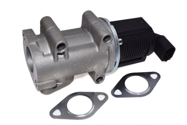 EGR Ventil 881310005 - Afta Romeo, Fiat, Lancia