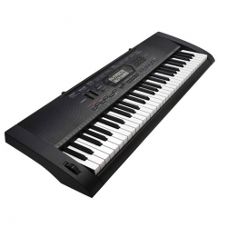 CASIO CTK 3000