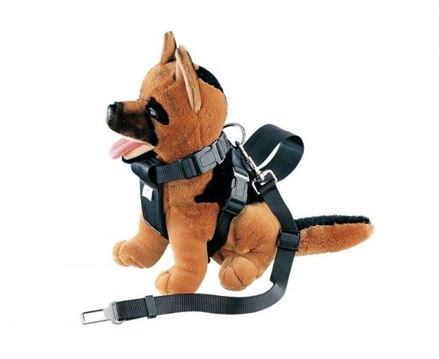 Am za pse sa sigurnosnim pojasom crni XL