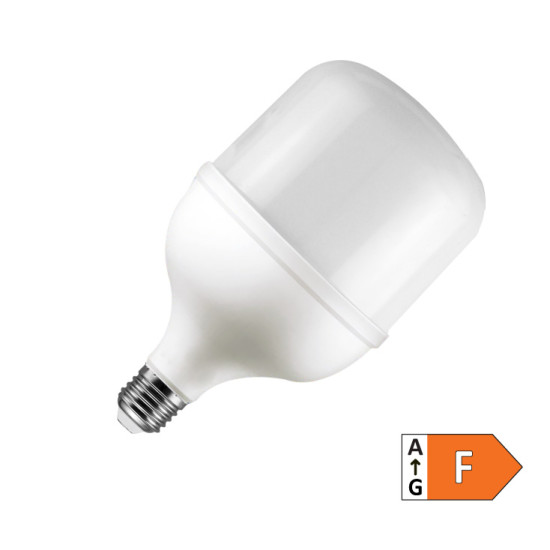 LED SIJALICA 30W 6400K E27 T100