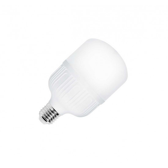 LED SIJALICA 35W 5000K E27 T120