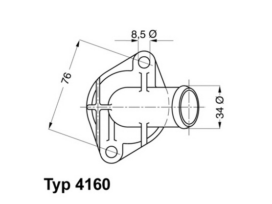 Termostat *13301051*