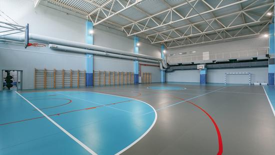 Omnisports V65