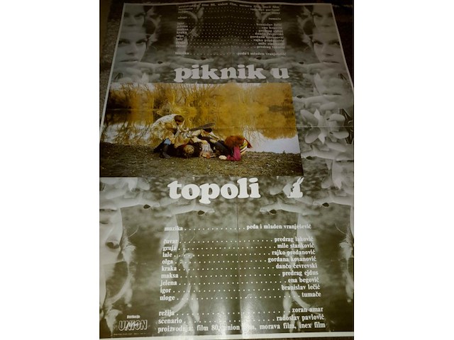 Piknik u Topoli , filmski plakat