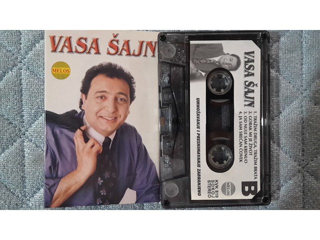 Vasa Sajn