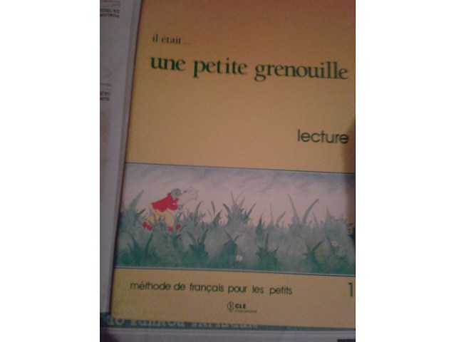 Une petite grenouille