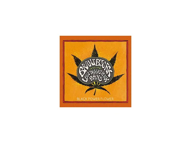 Black Power Flower, Brant Bjork And The Low Desert Punk Band, CD